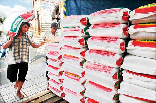 Kingdom to reach rice target | Vietstock