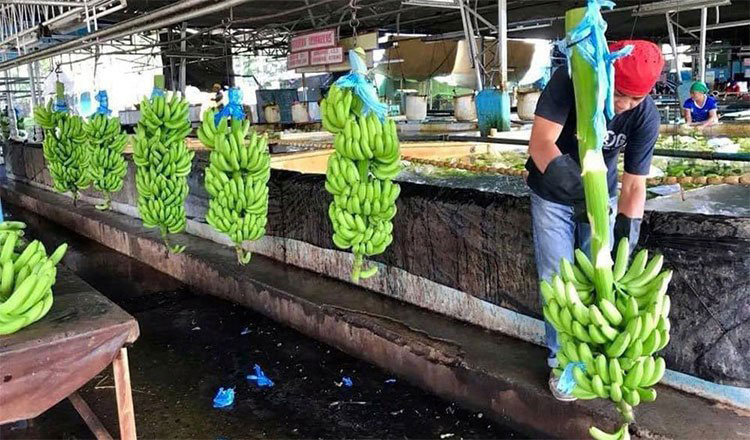 Cambodia’s trade with RCEP partners tops $40B | Vietstock